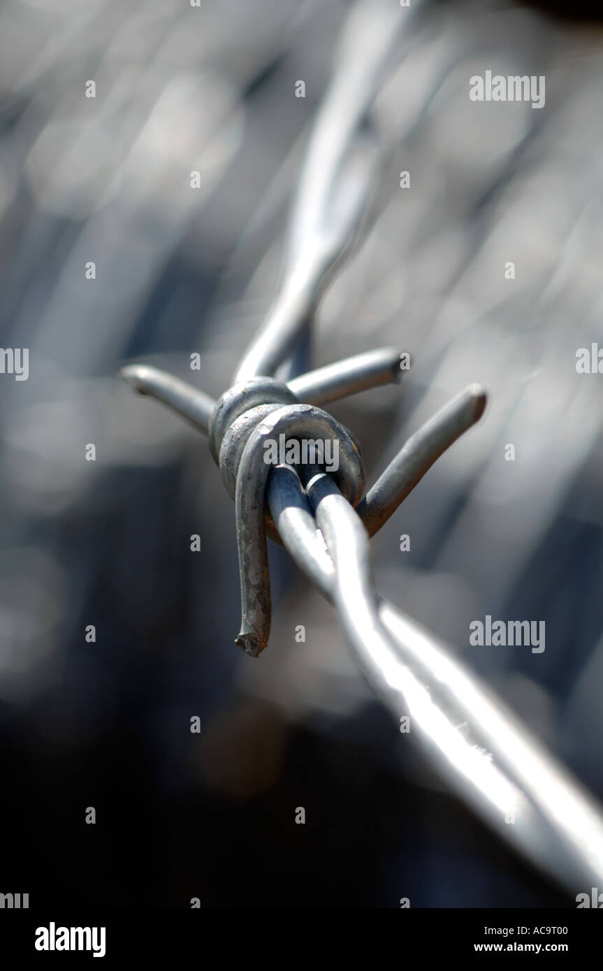 Close up of a roll of barbed wire fence Stock Photo - Alamy