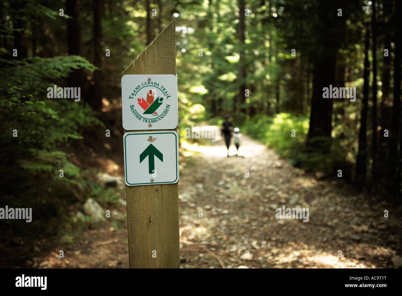 Trans Canada Trail in Cypress Mountains West Vancouver British Columbia ...