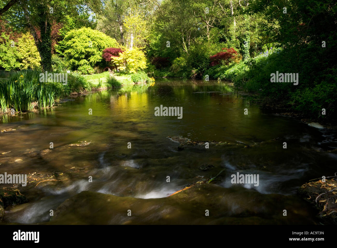 The River Nadder at Abbey House Gardens, Malmesbury, Wiltshire, England ...