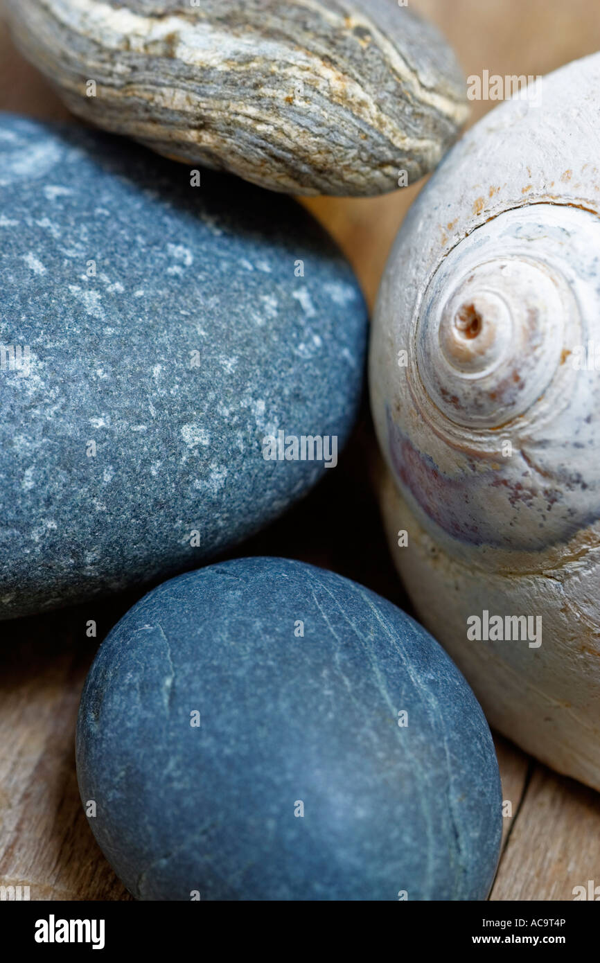 pebbles and shells Stock Photo - Alamy