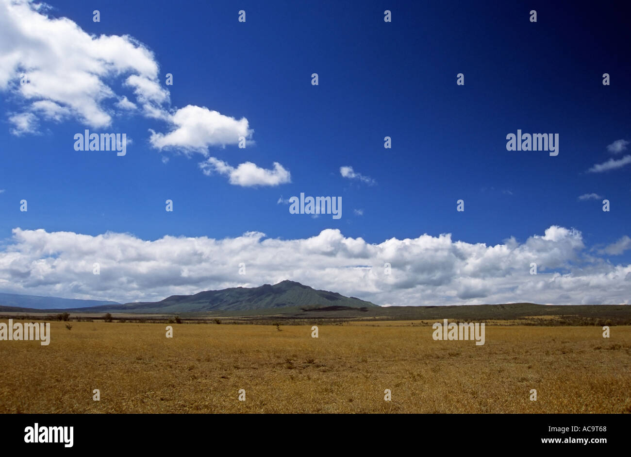 Mount longonot national park hi-res stock photography and images - Alamy