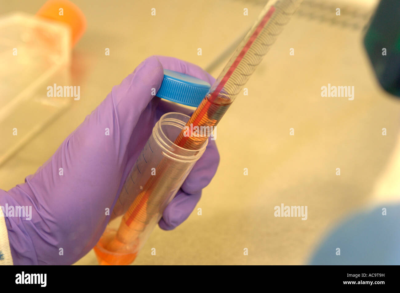 Chemistry and biochemistry -pipetting samples in the lab Stock Photo ...
