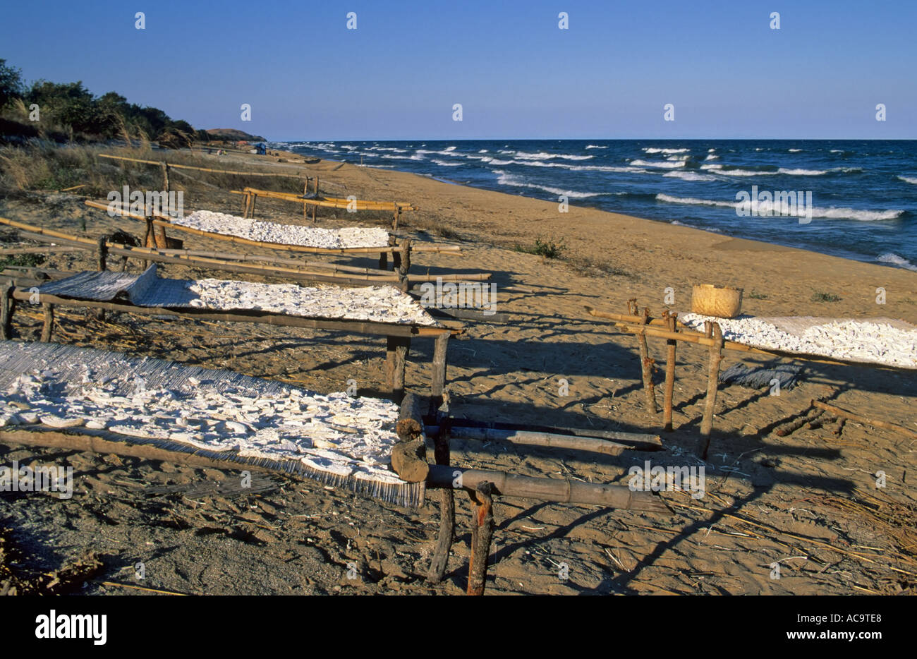 Cassava drying in the sun hi-res stock photography and images - Alamy