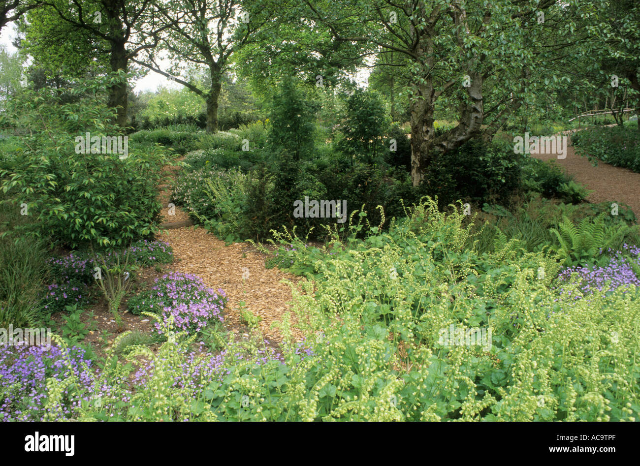 Woodland Planting Walk and Wood chip path Pensthorpe Wave Garden ...