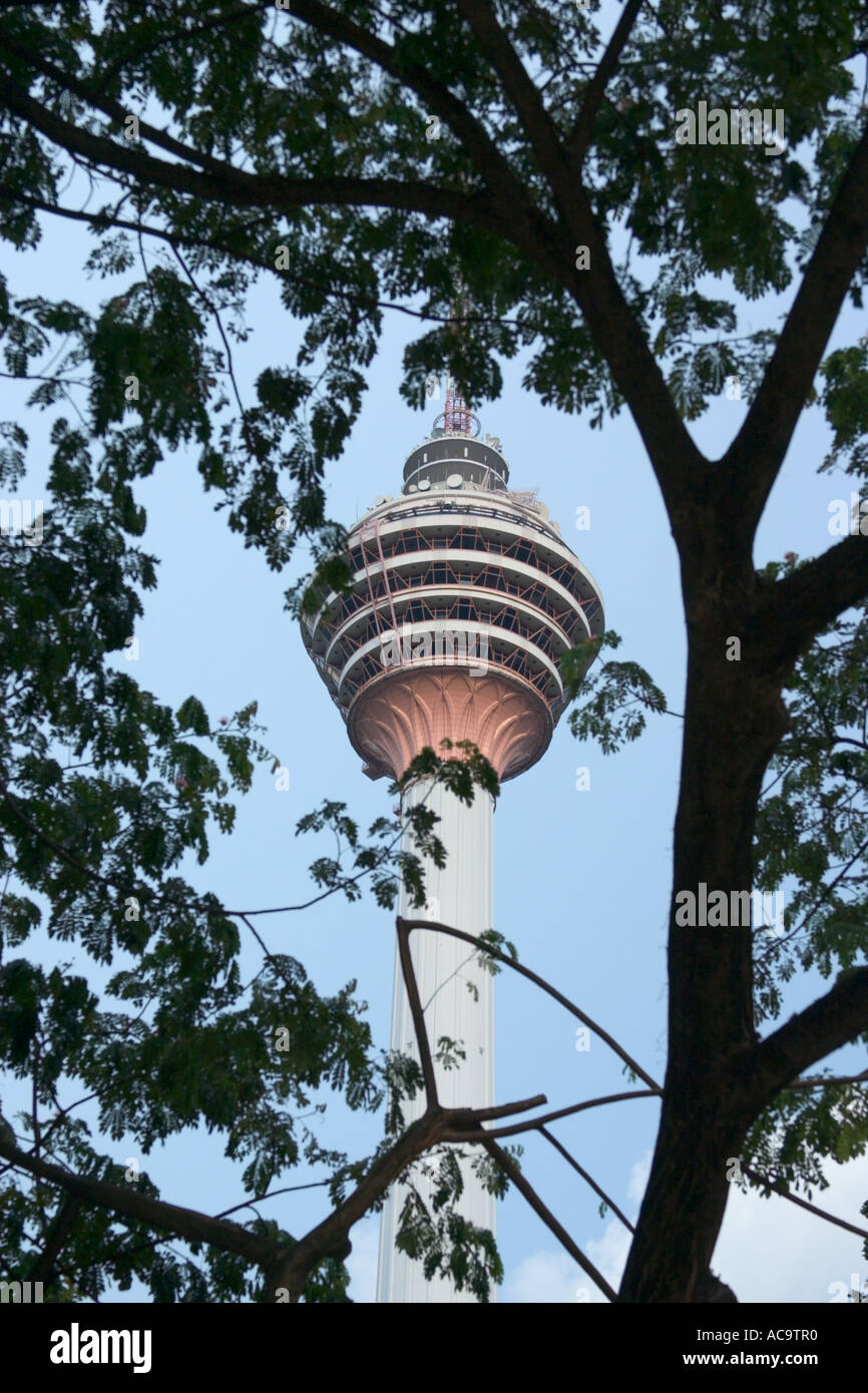menara kl tower behind trees silhoutte Stock Photo - Alamy