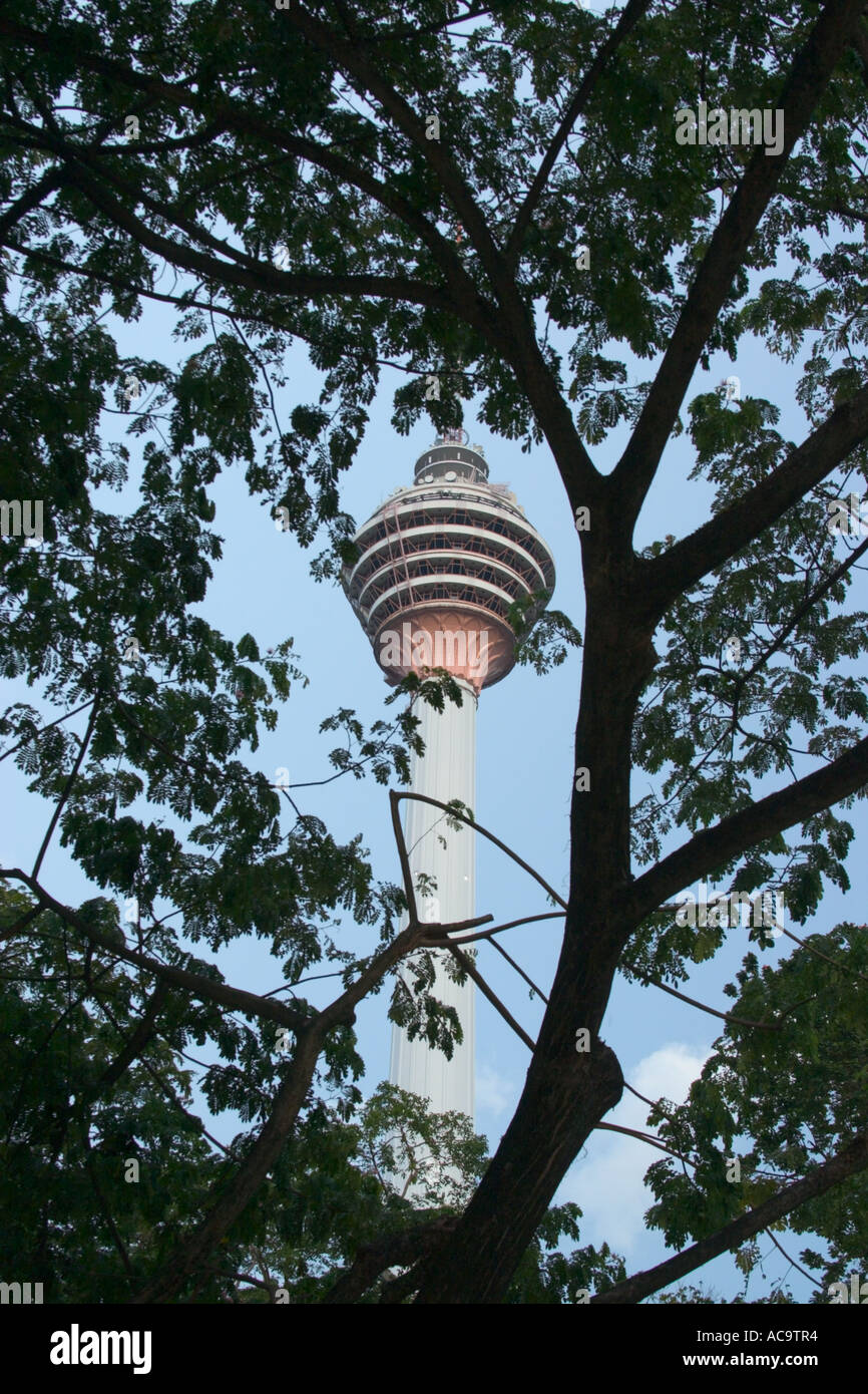 menara kl tower behind trees silhoutte Stock Photo - Alamy