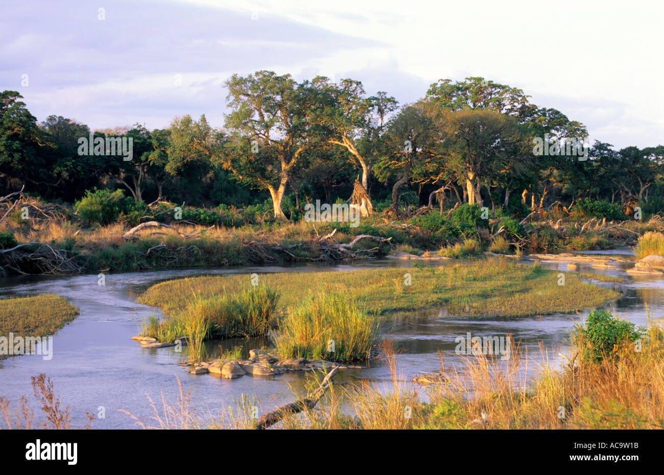 Sabie River, Kruger National Park, South Africa Stock Photo - Alamy