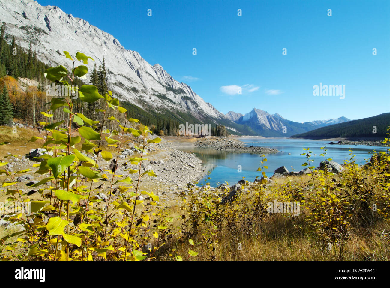 Medicine Lake from Maligne valley road Jasper national park Alberta ...