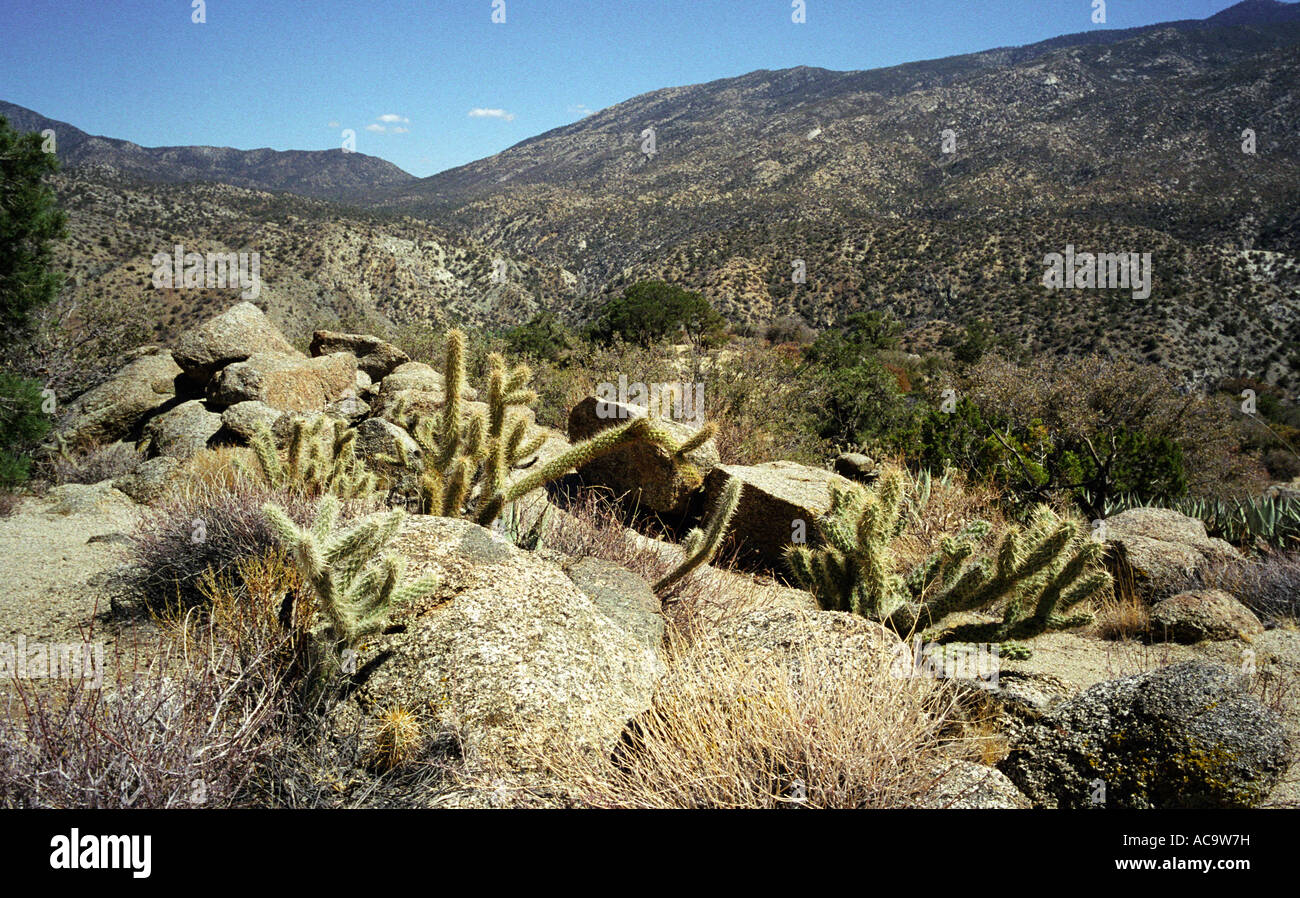 Cahuilla hi-res stock photography and images - Alamy