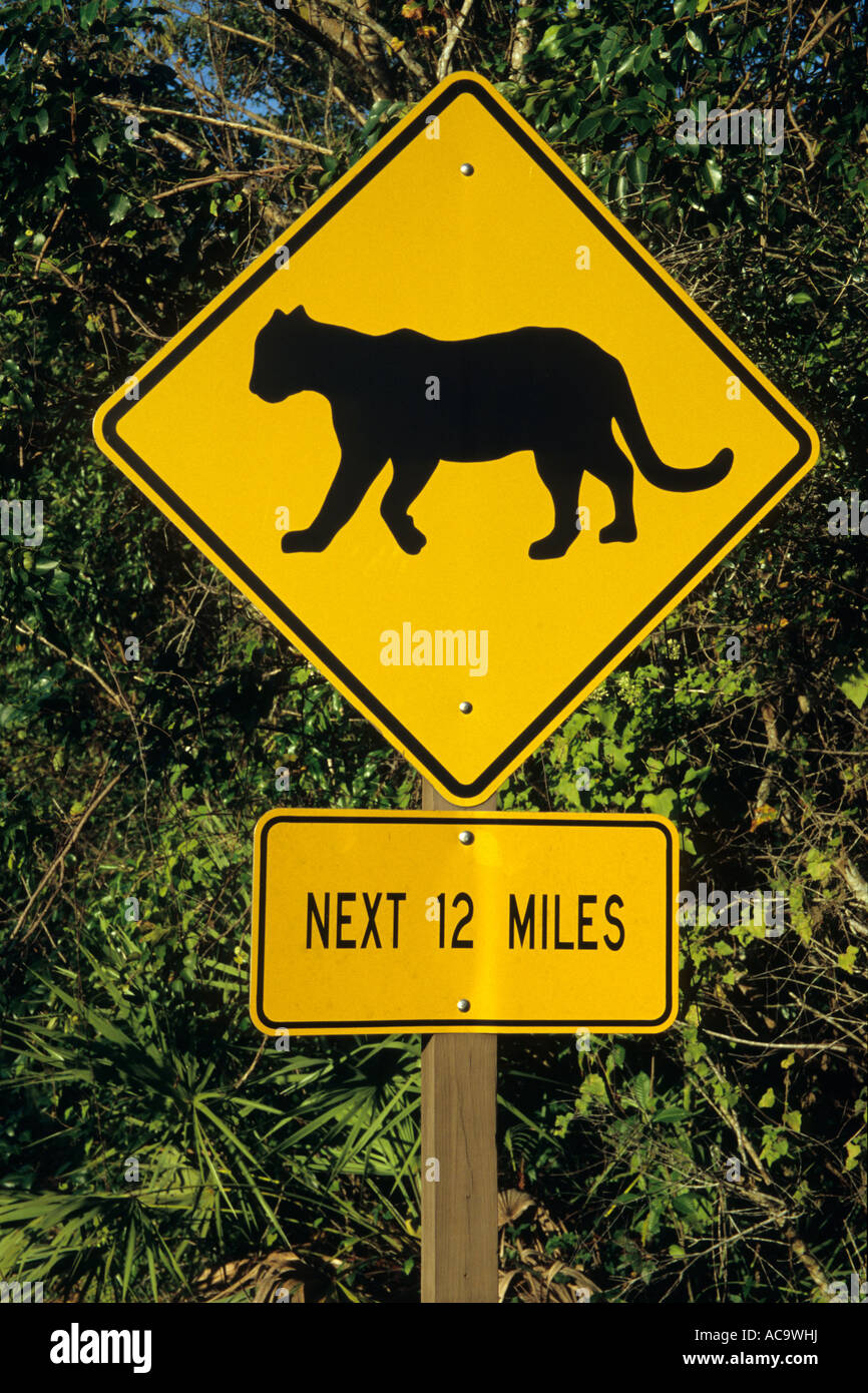 Sign "Florida panther crossing", Florida, USA Stock Photo - Alamy