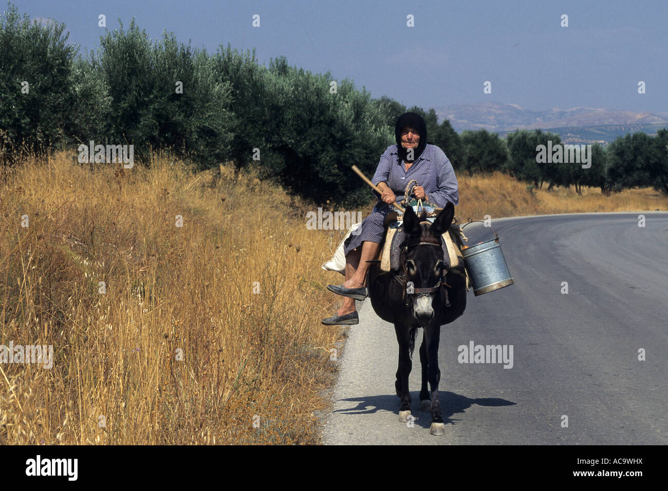 Old woman riding a donkey, Crete, Greece Stock Photo - Alamy