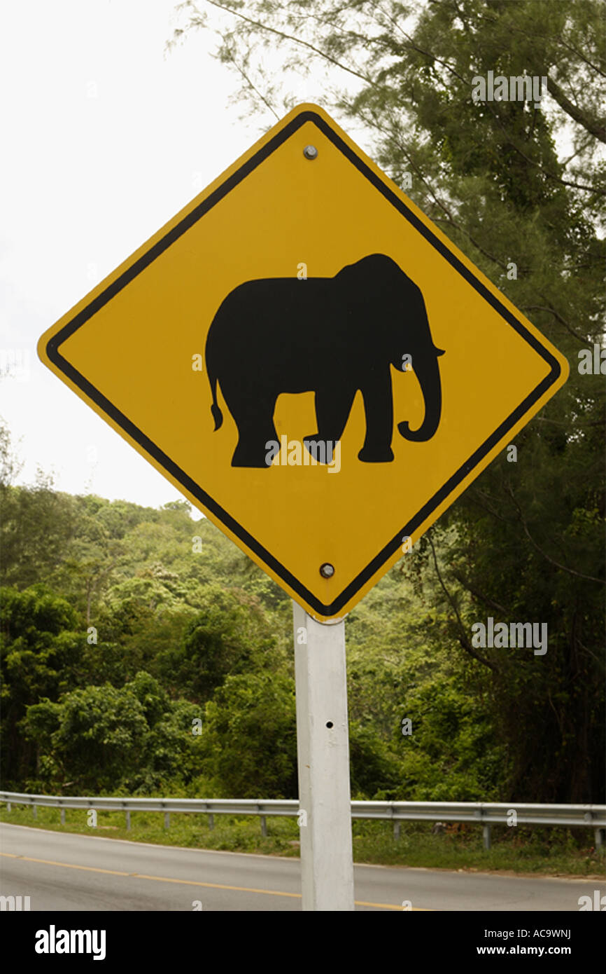 Elephant Crossing Sign High Resolution Stock Photography and Images - Alamy