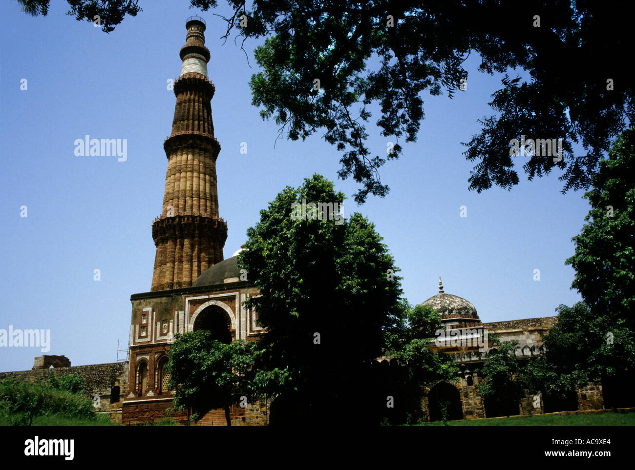 Qutub minar tree hi-res stock photography and images - Alamy