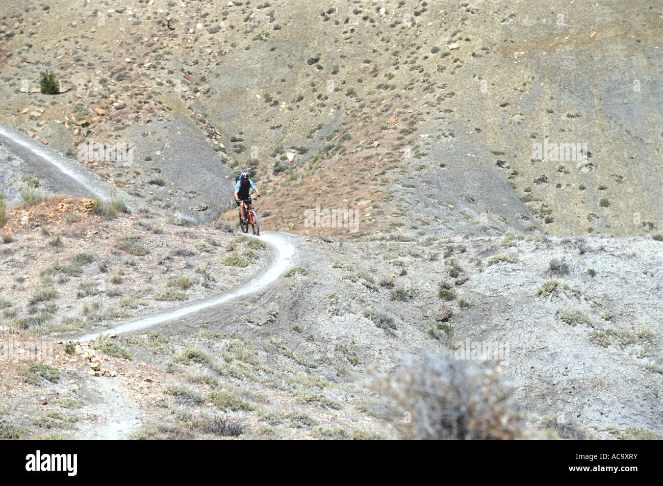 are there rattler Stock Photo - Alamy