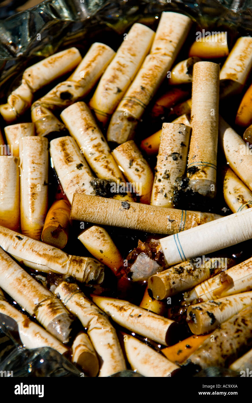 Filthy ashtray with wet cigarettes and water Stock Photo - Alamy