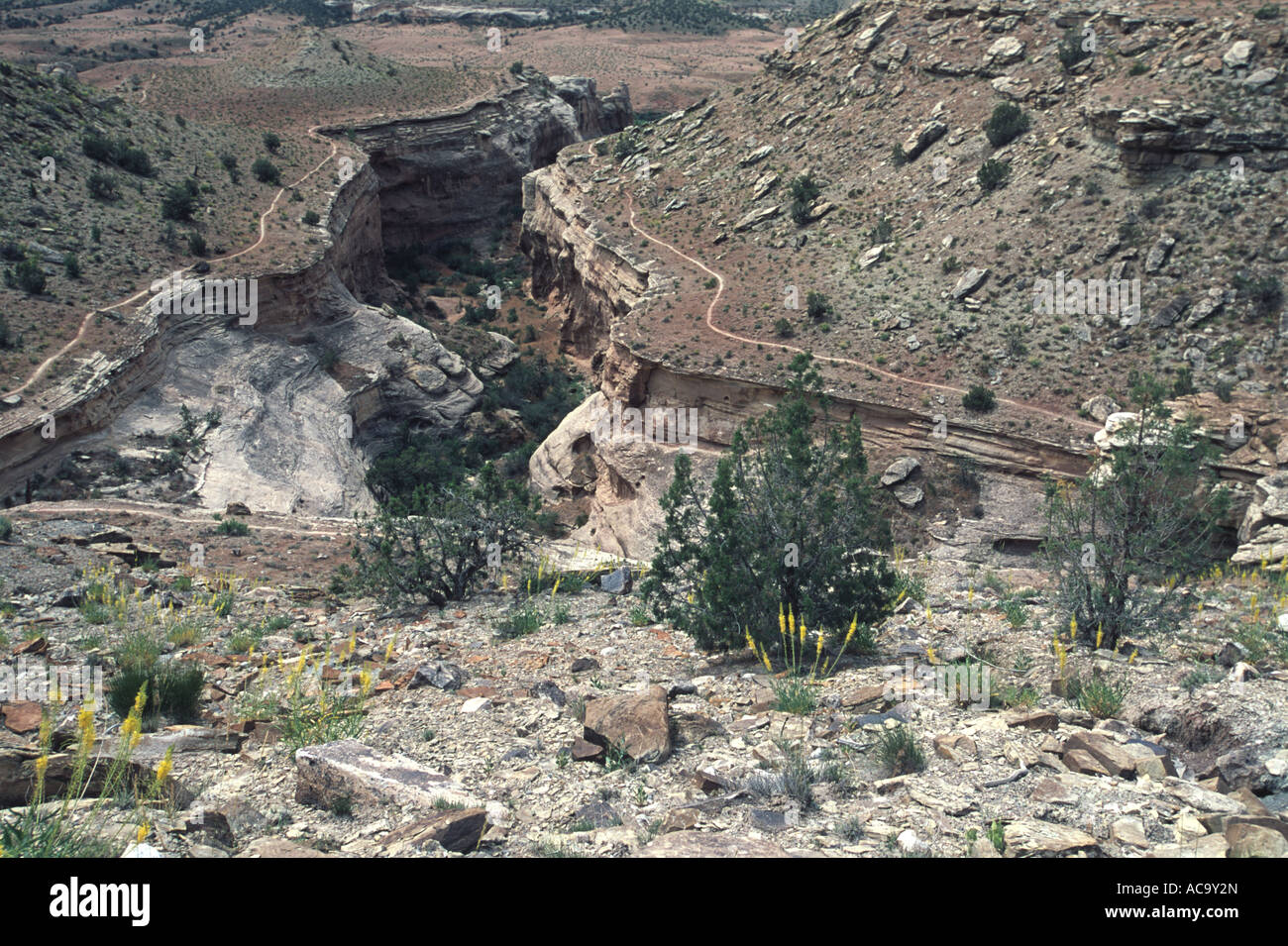 in and out the canyons Stock Photo - Alamy