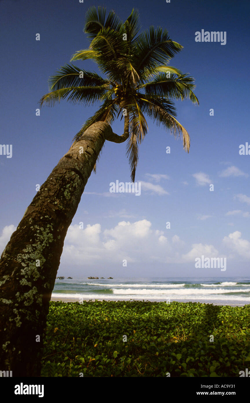 Ida127 hi-res stock photography and images - Alamy