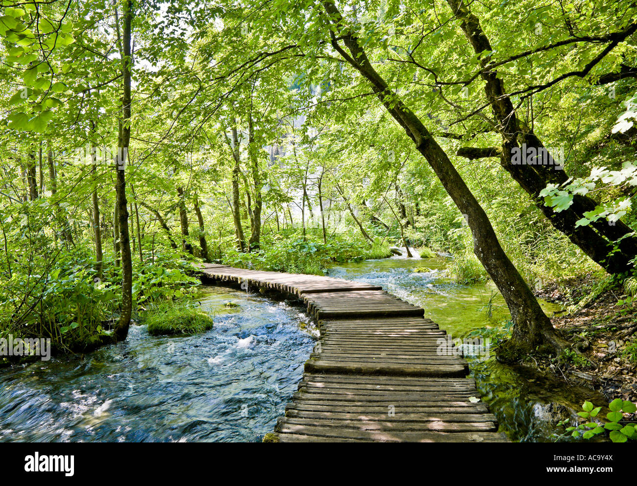 National park Plitvicer lakes, Lika-Senj, Croatia Stock Photo - Alamy