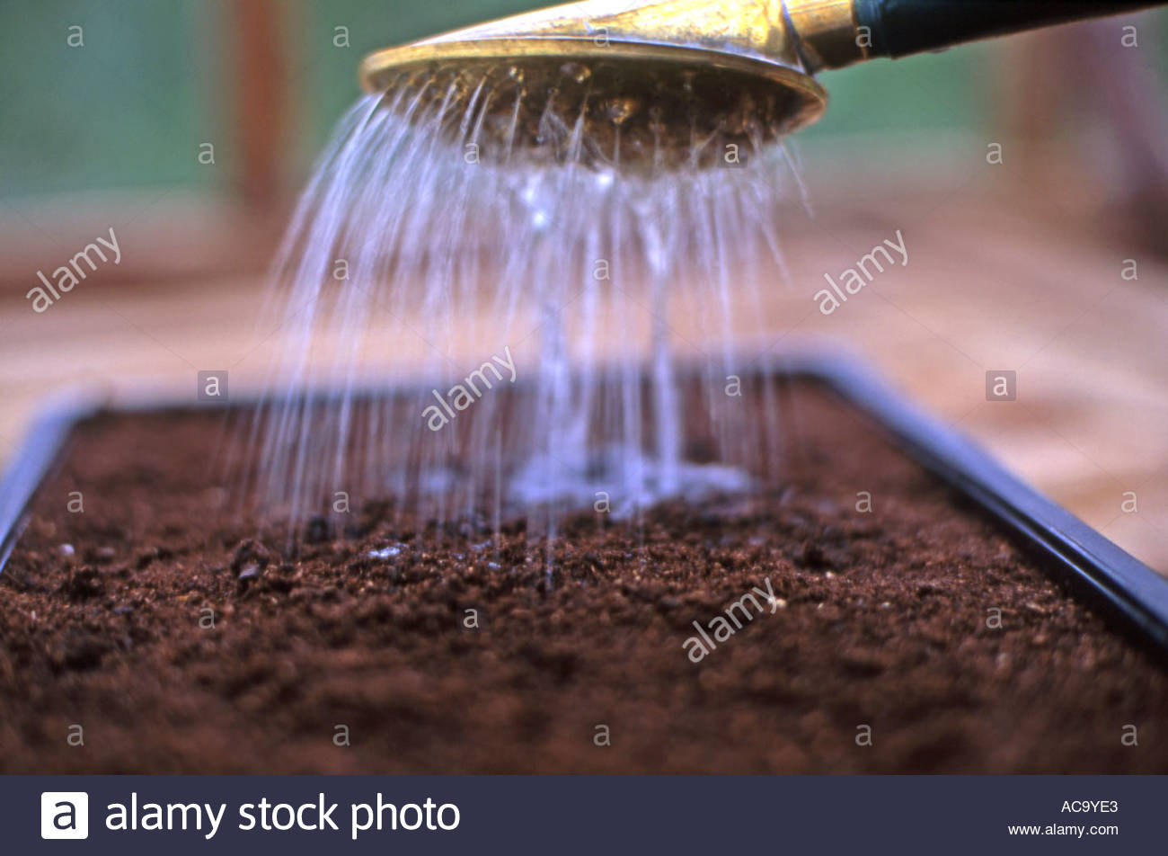 Sow Seeds Greenhouse Stock Photos & Sow Seeds Greenhouse Stock Images ...