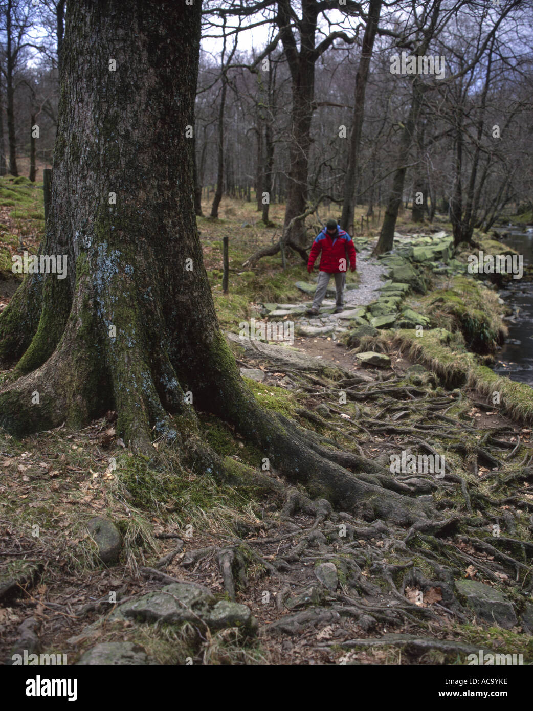 Karl walker hi-res stock photography and images - Alamy