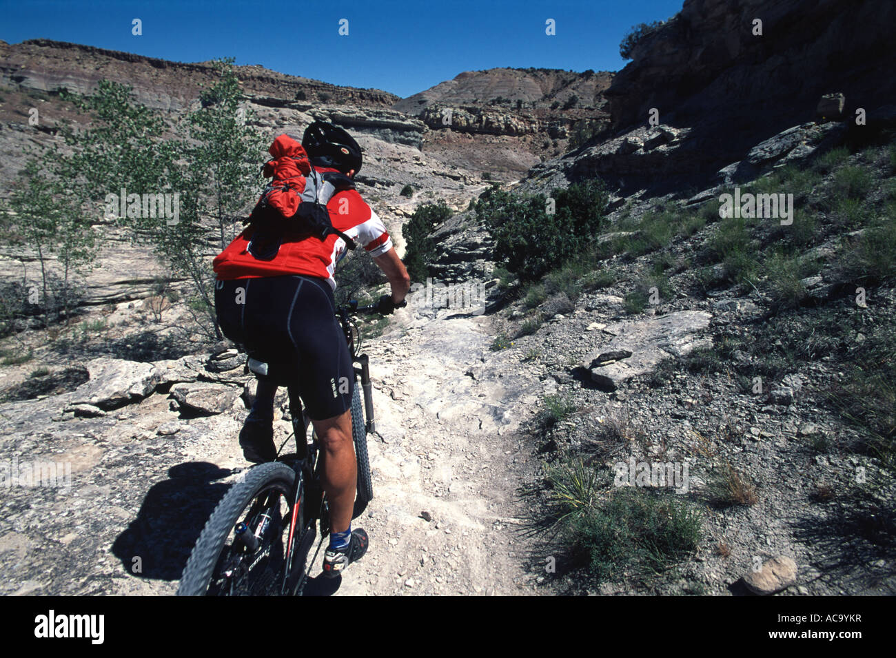 down the canyon Stock Photo - Alamy