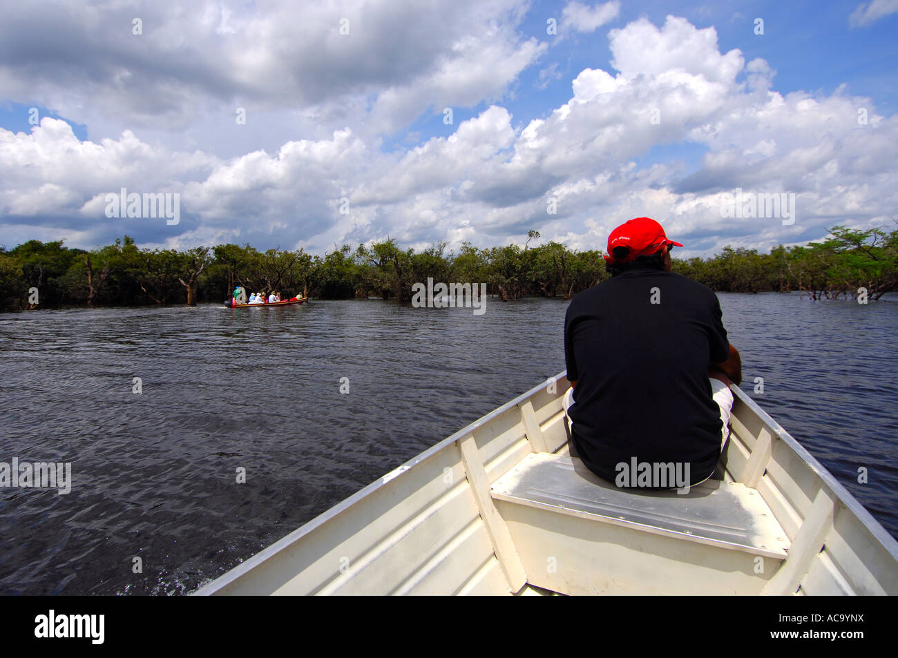 Boat excursion in the Amazon river basin, Brazil Stock Photo - Alamy