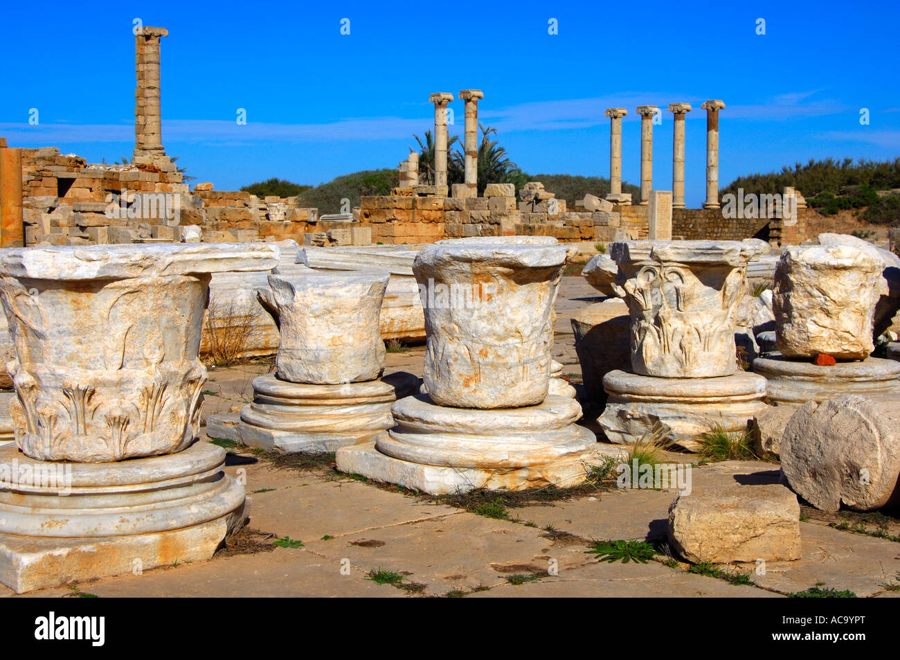 Ancient capitals, ruins of the Roman City Leptis Magna, Libya Stock Photo - Alamy