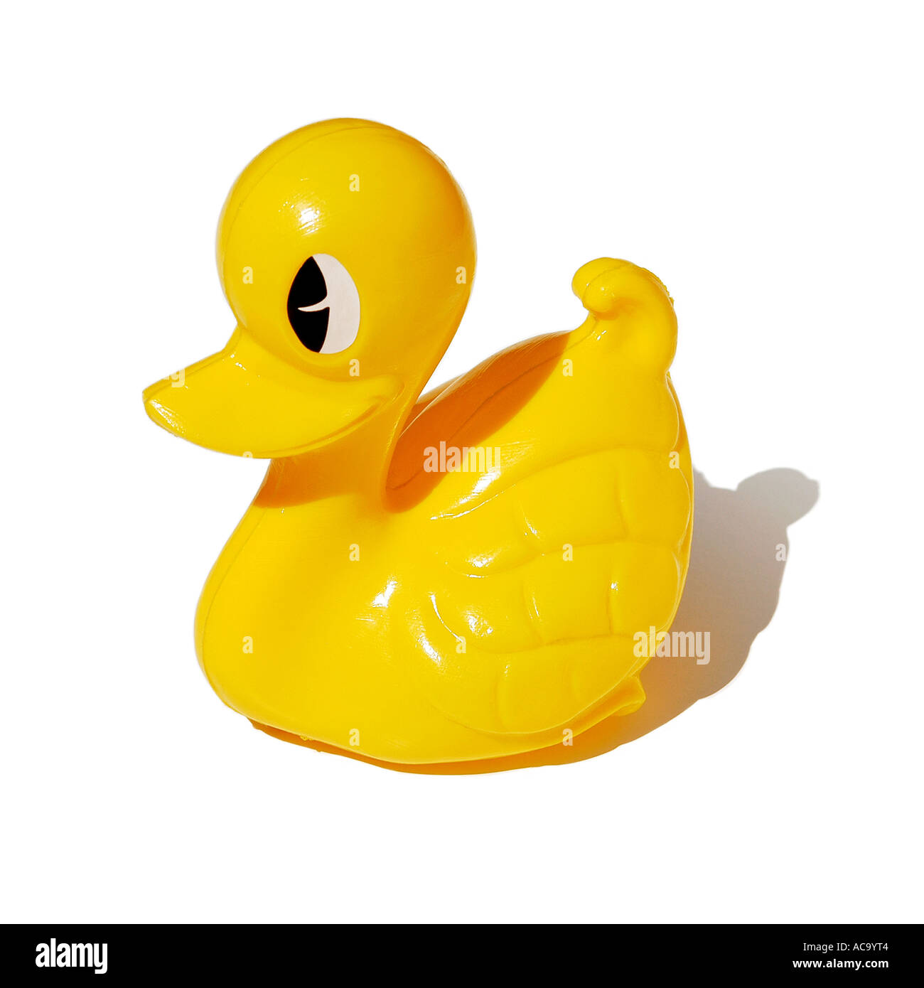 A Rubber Duck. Picture by Patrick Steel patricksteel Stock Photo - Alamy