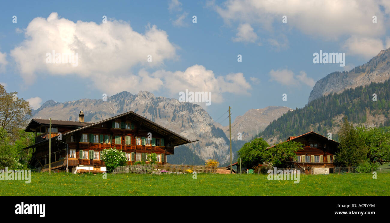 Simmental farm house, Daerstetten, Simmental, Switzerland Stock Photo ...