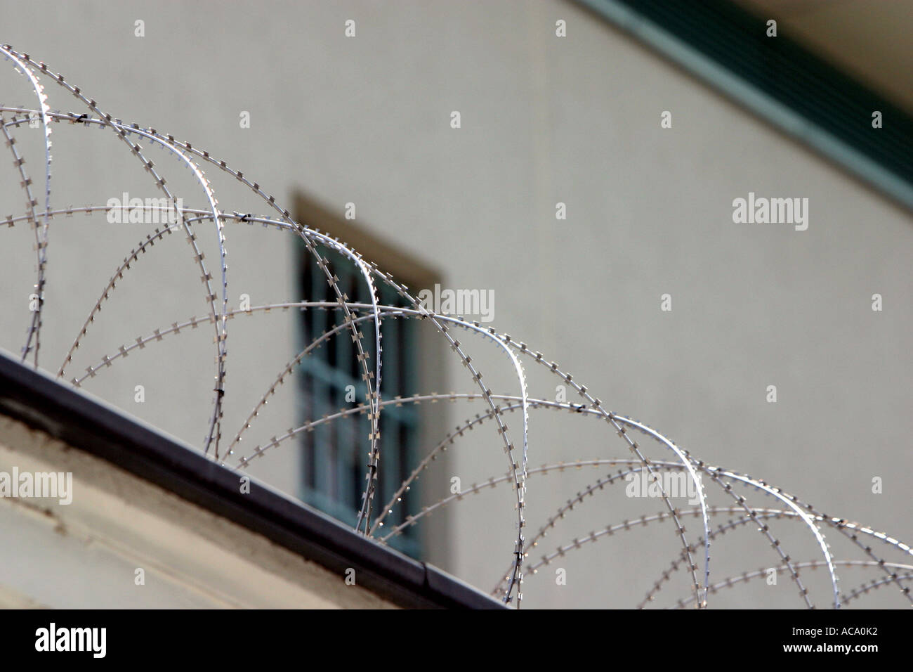 Barbed wire in a jail Stock Photo - Alamy