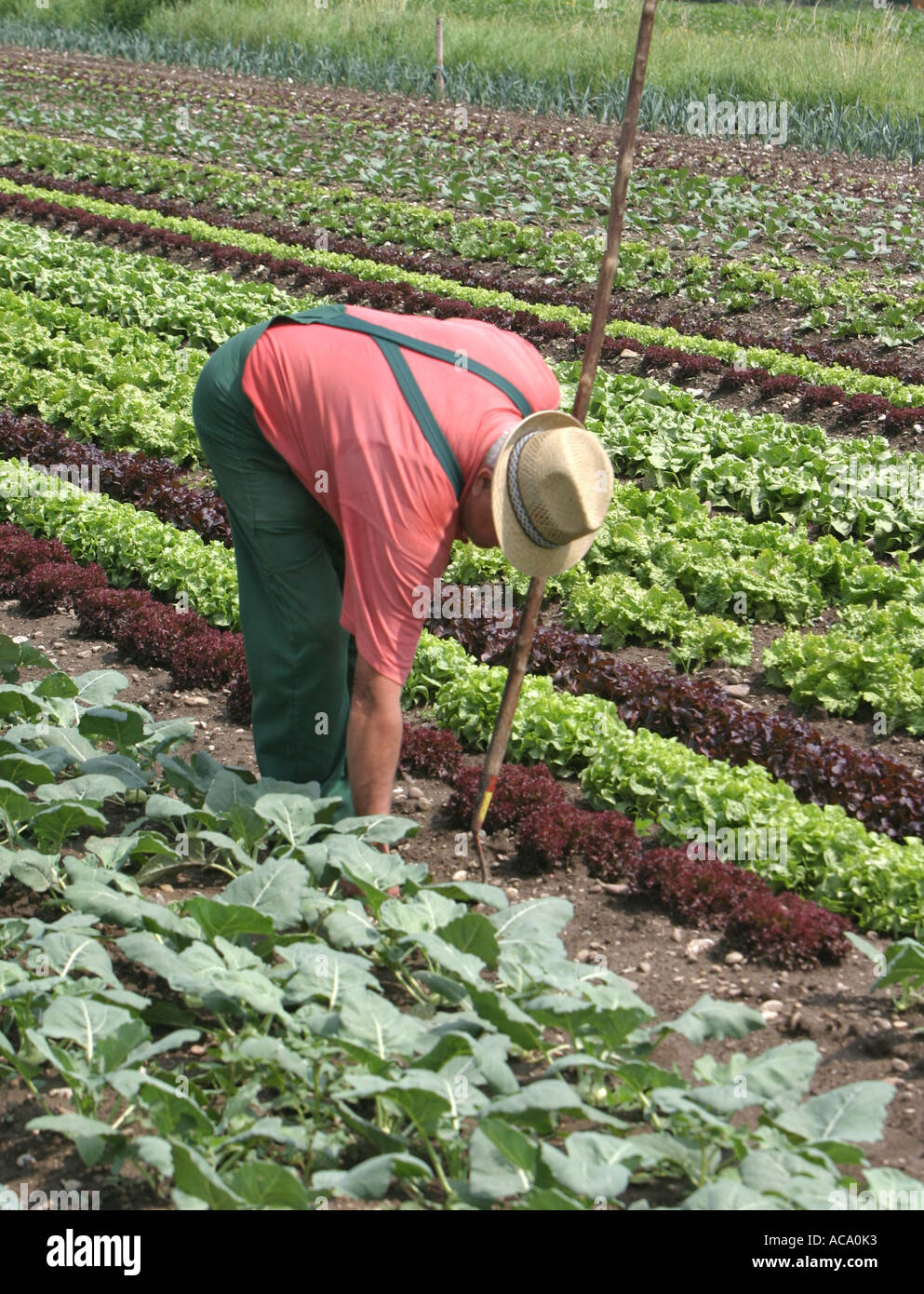 Backache backbone community hi-res stock photography and images - Alamy