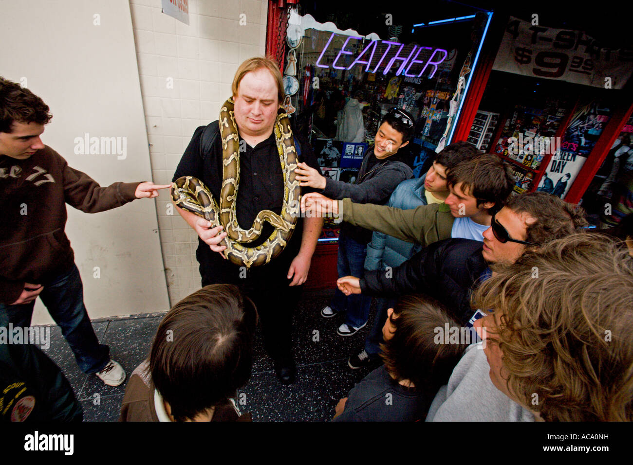 People posing with a snake on Hollywood Blvd Stock Photo - Alamy