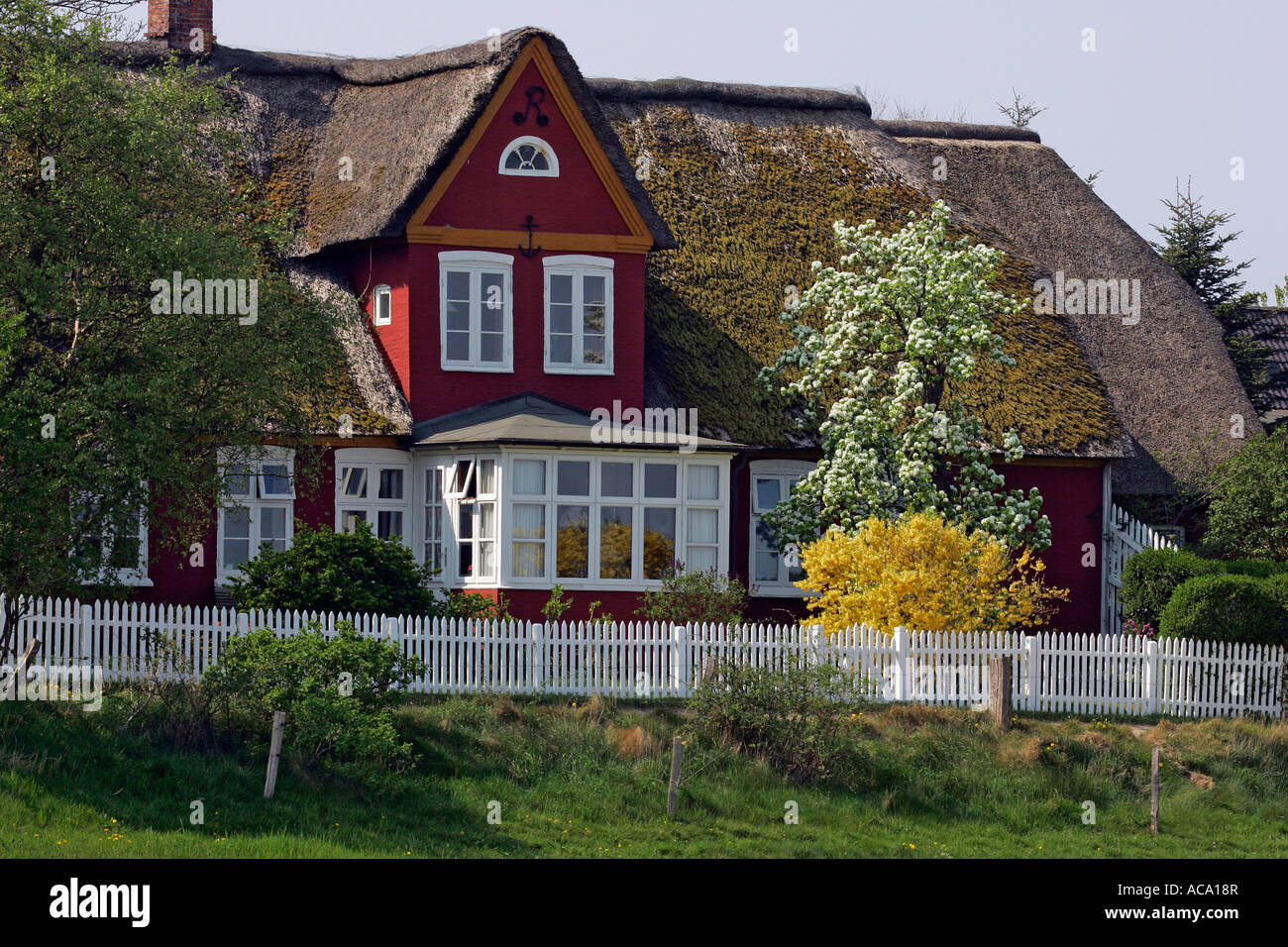 Old frisian house with thatched roof , Steenodde, Amrum, North ...