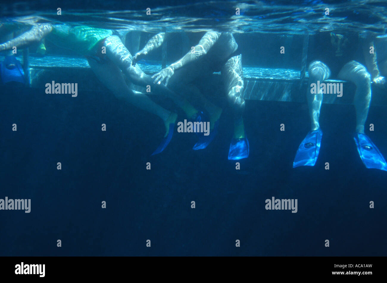 Bathing platform, Great Barrier Reef, Australia Stock Photo - Alamy