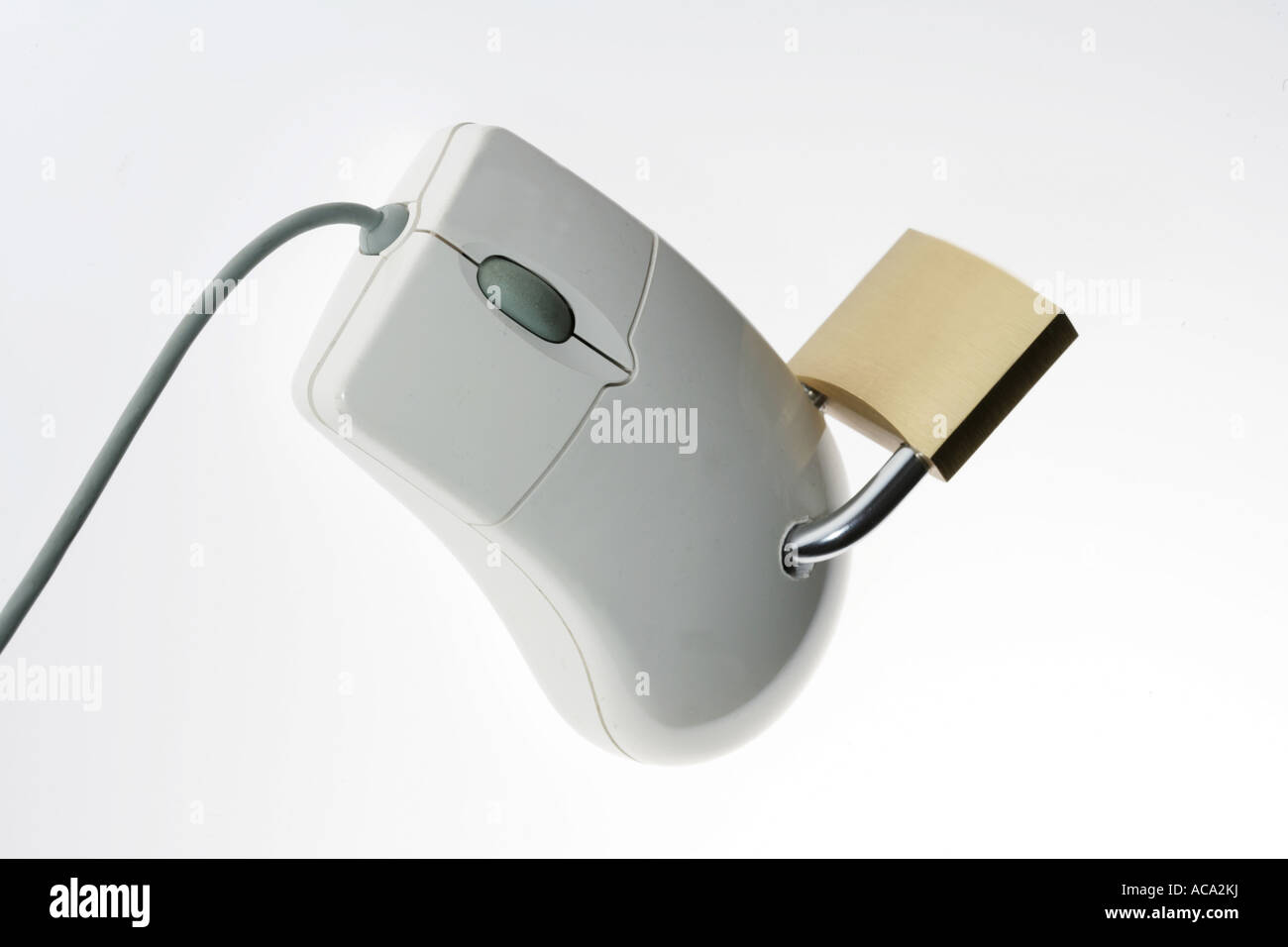 Computer Mouse Lock at Lynda Tawney blog