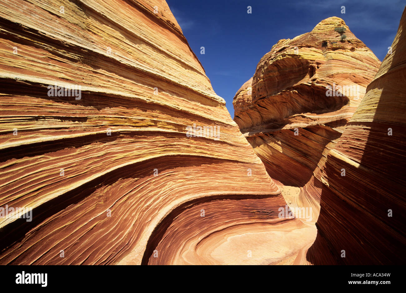 Sandstone formation in "The Wave", Paria Wilderness, Arizona, USA Stock ...
