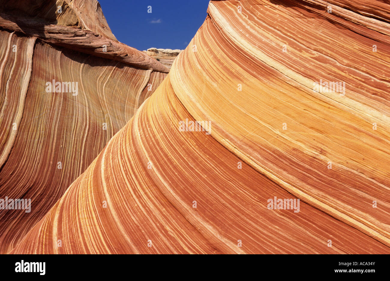 Sandstone formation in "The Wave", Paria Wilderness, Arizona, USA Stock ...