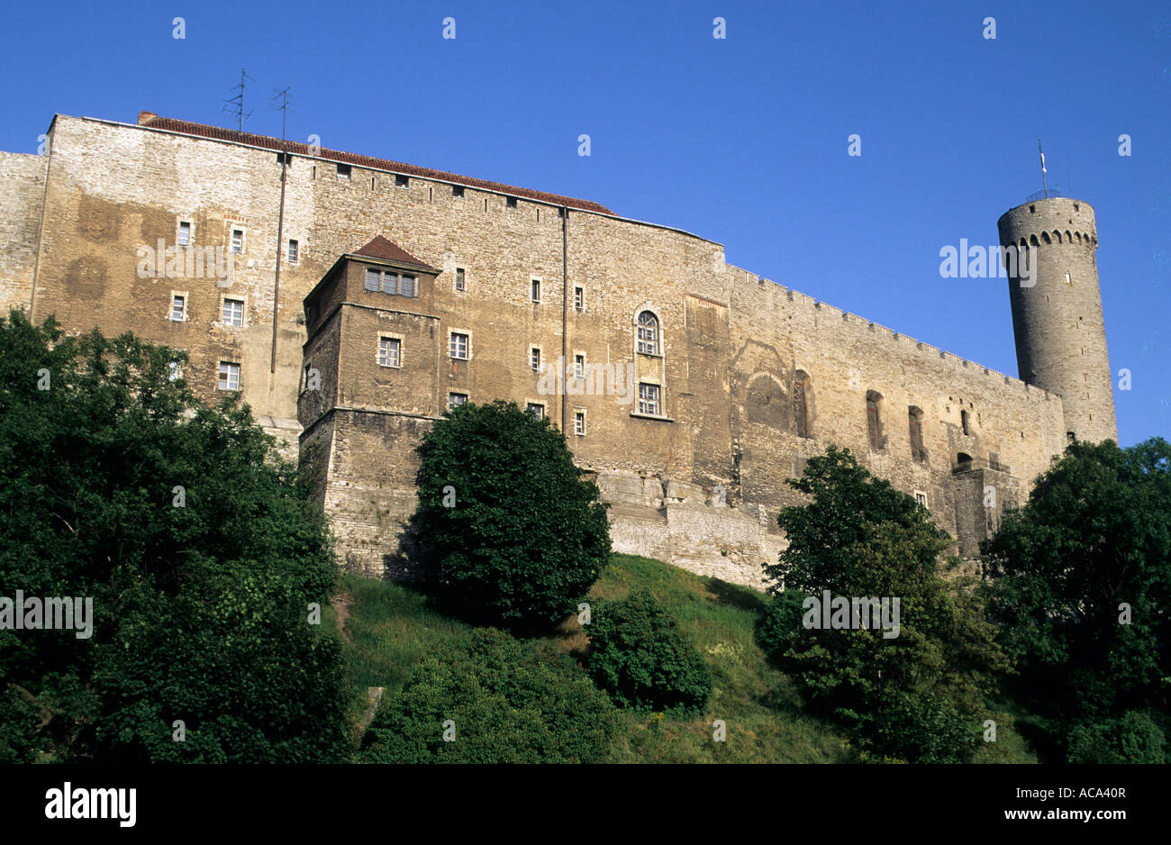 Castle with tower "Pikk Hermann" (Tall Hermann), Tallinn, Estonia Stock ...