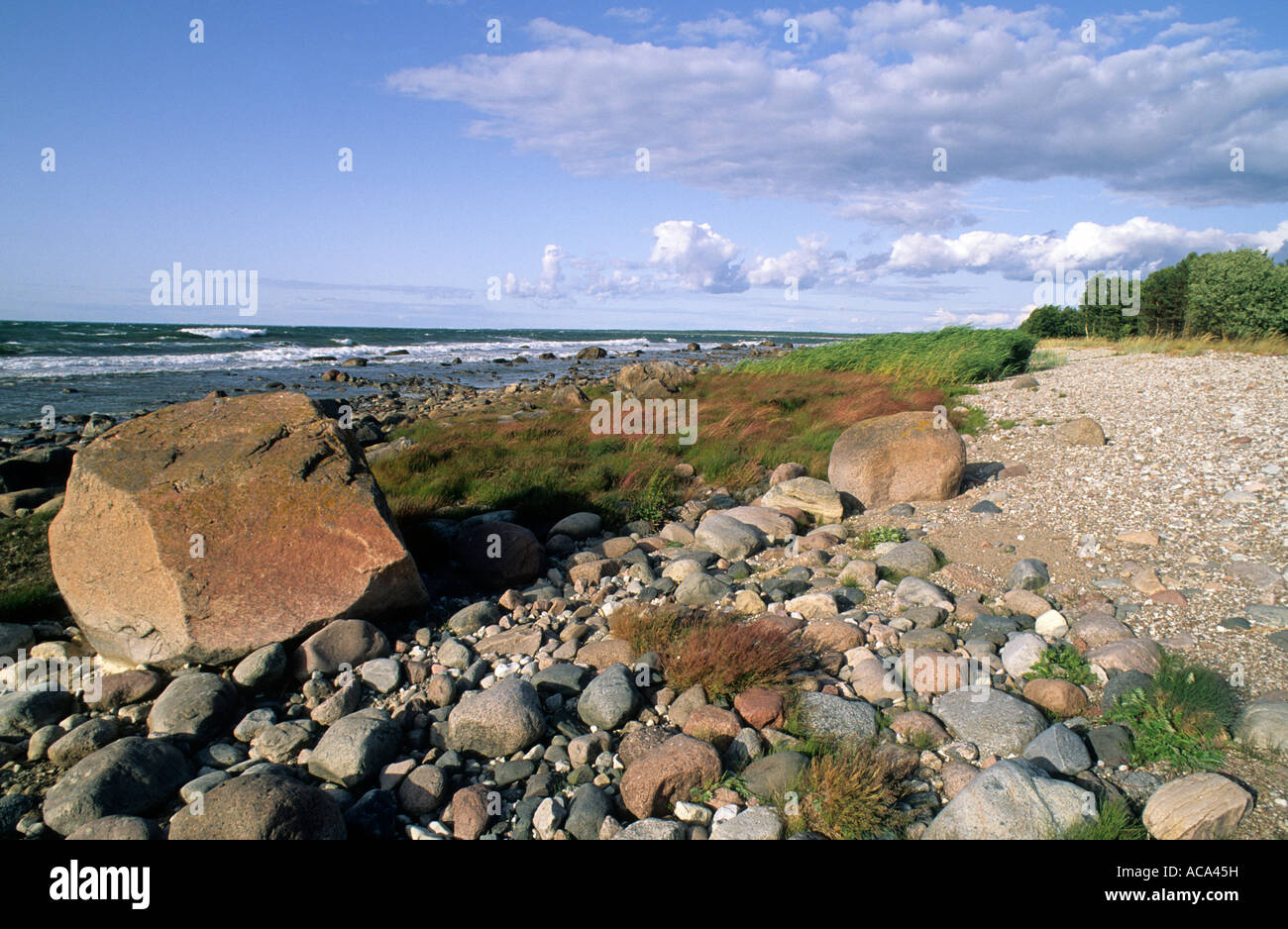 Baltic Sea coast, Panga Pank, Saaremaa island, Estonia Stock Photo - Alamy