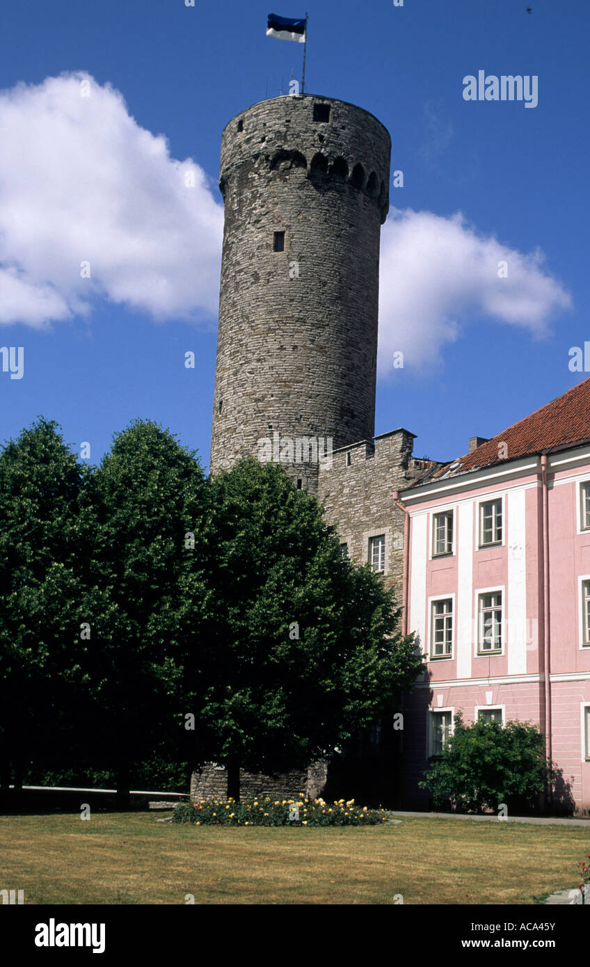 Castle with tower "Pikk Hermann" (Tall Hermann), Tallinn, Estonia Stock ...