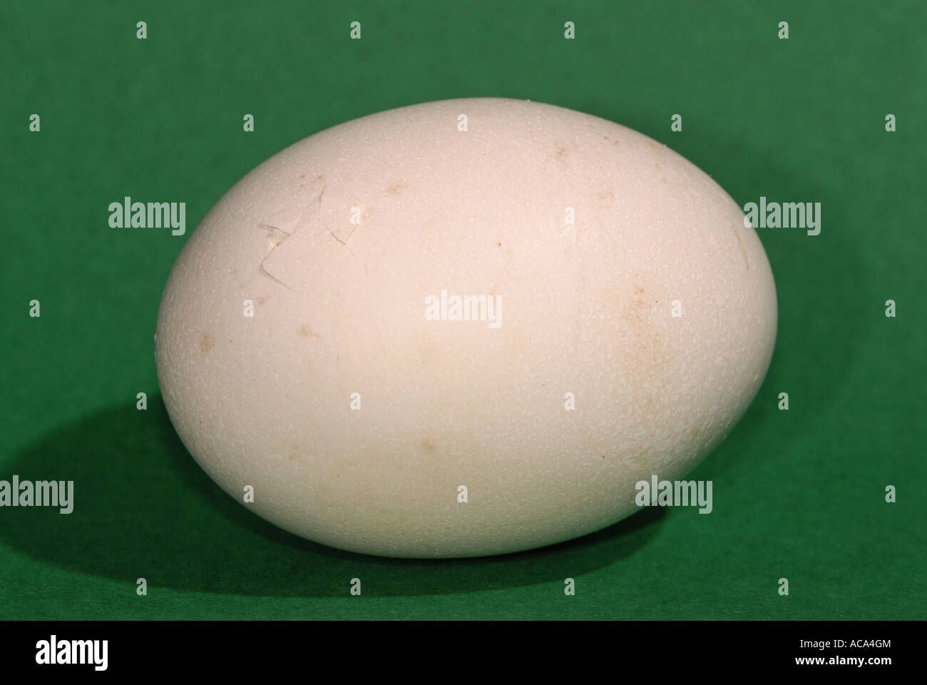 Eizahn High Resolution Stock Photography and Images - Alamy