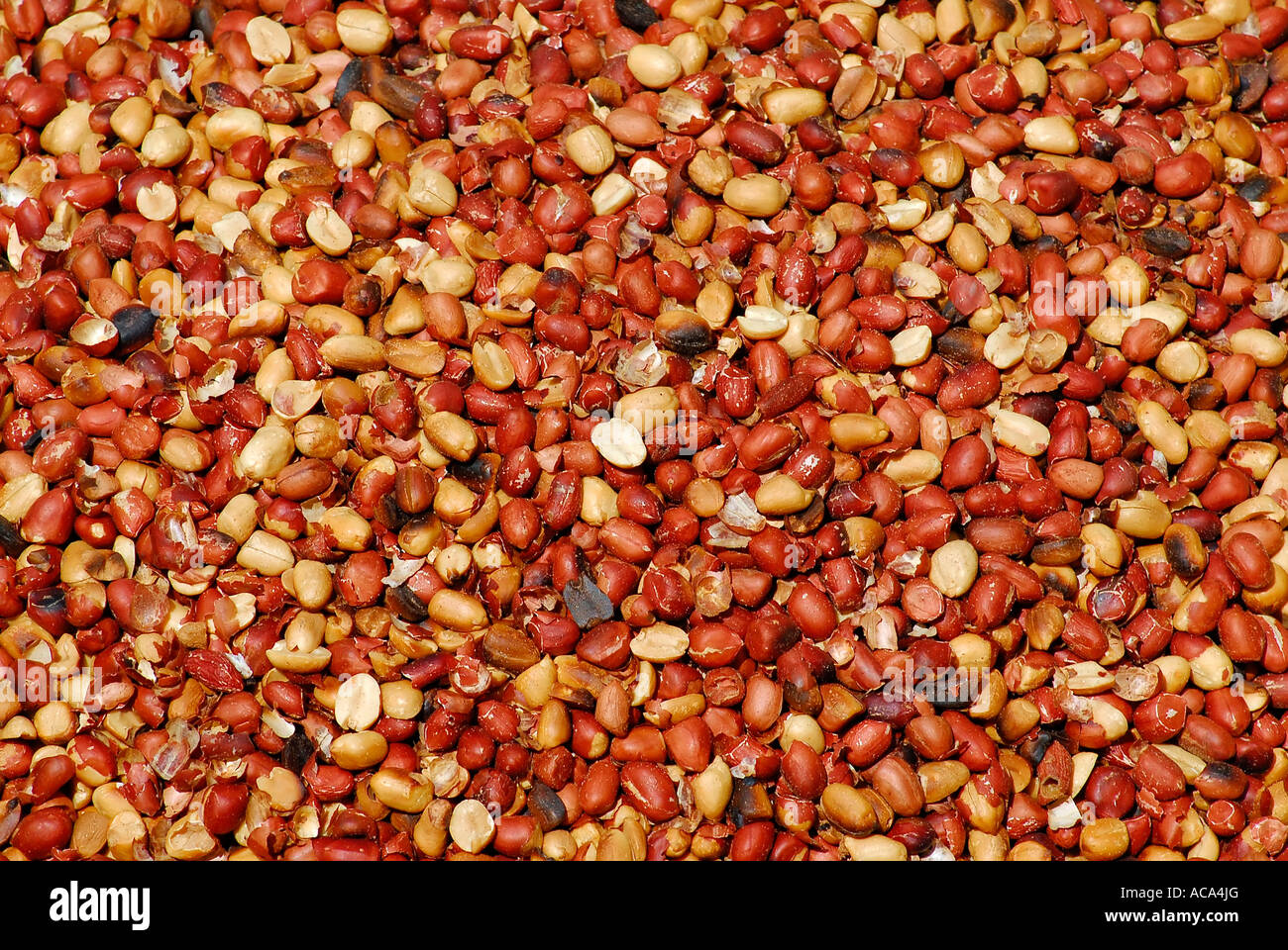 Cameroon nut hi-res stock photography and images - Alamy