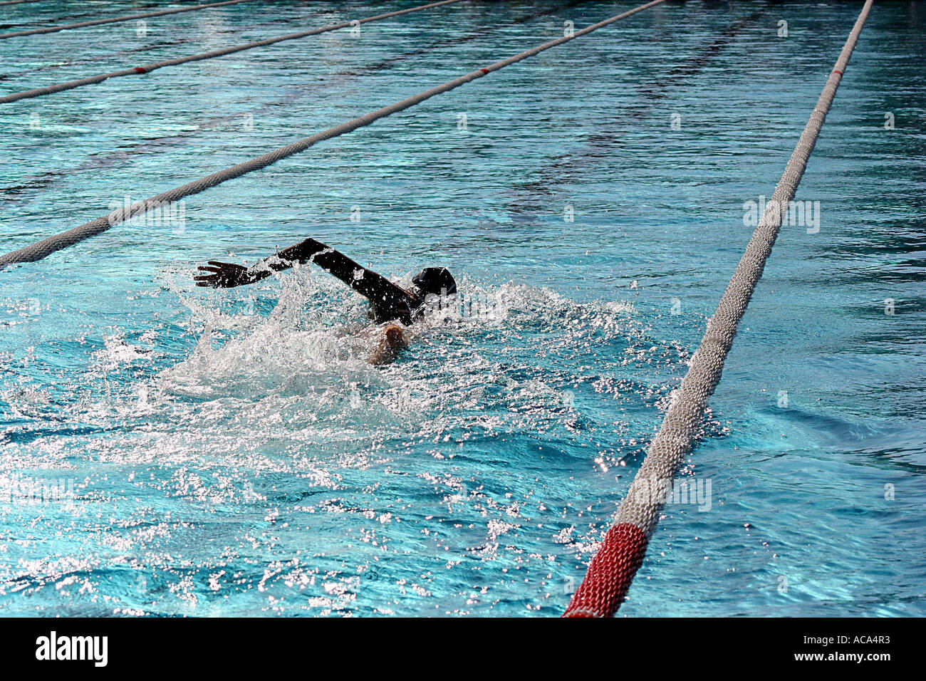 Man swims Stock Photo - Alamy Man swims Stock Photo - Alamy