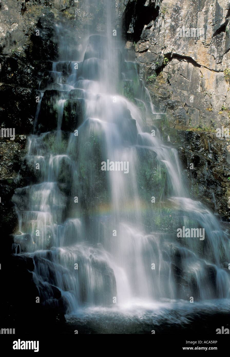 Ussuriland High Resolution Stock Photography and Images - Alamy