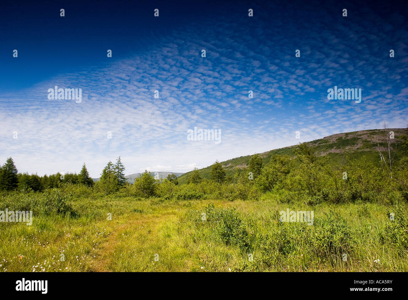 Natural park "Jack London's lake", Magadan area, Eastern Siberia ...