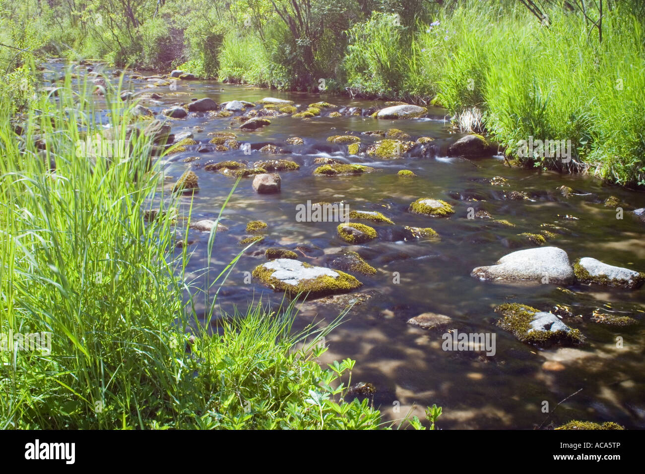 Natural park "Jack London's lake", Magadan area, Eastern Siberia ...