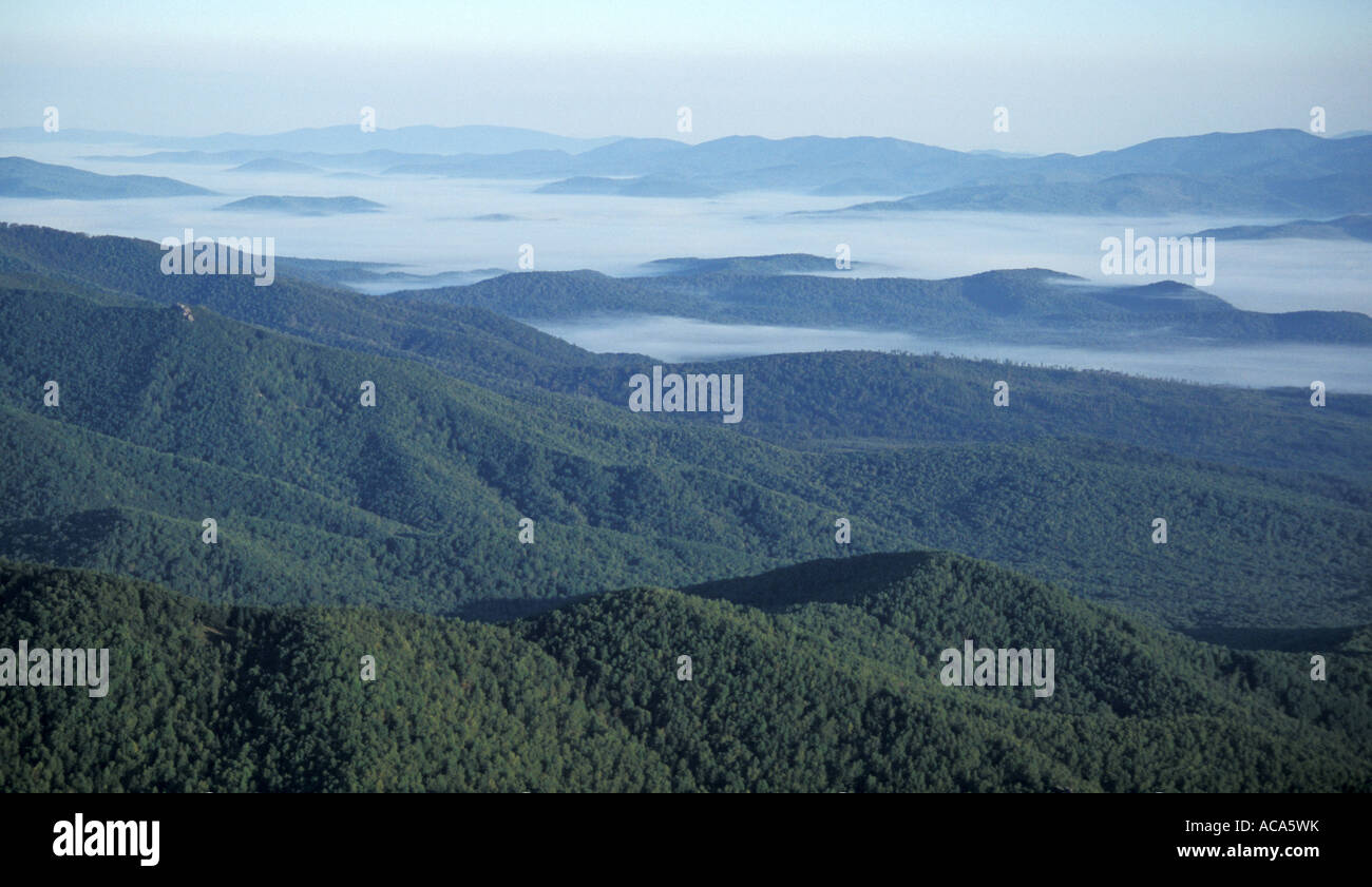 Sikhote alin hi-res stock photography and images - Alamy