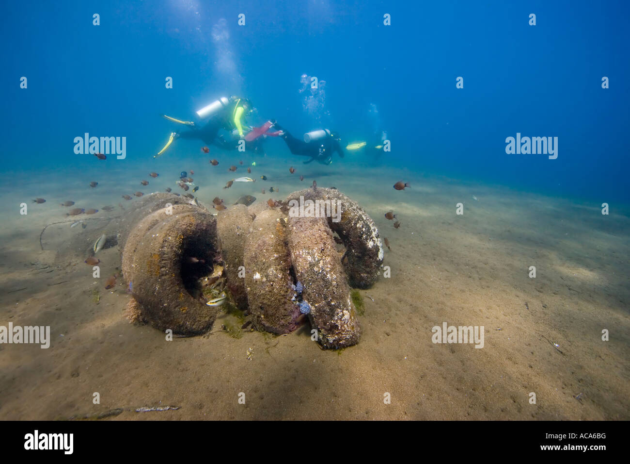 "Artificial reef" made of tires Stock Photo - Alamy