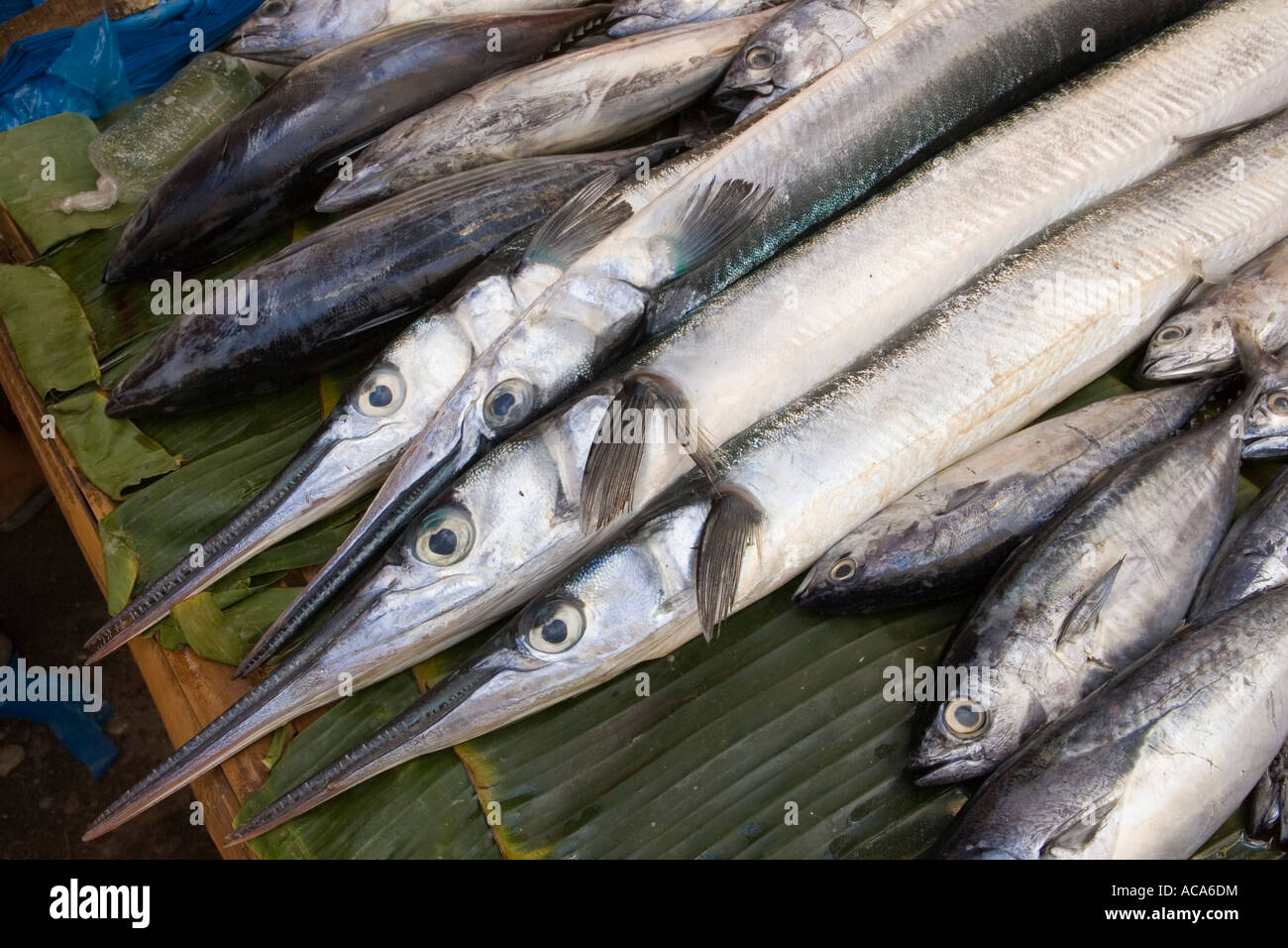 Market on the island Negros, Philippines Stock Photo - Alamy