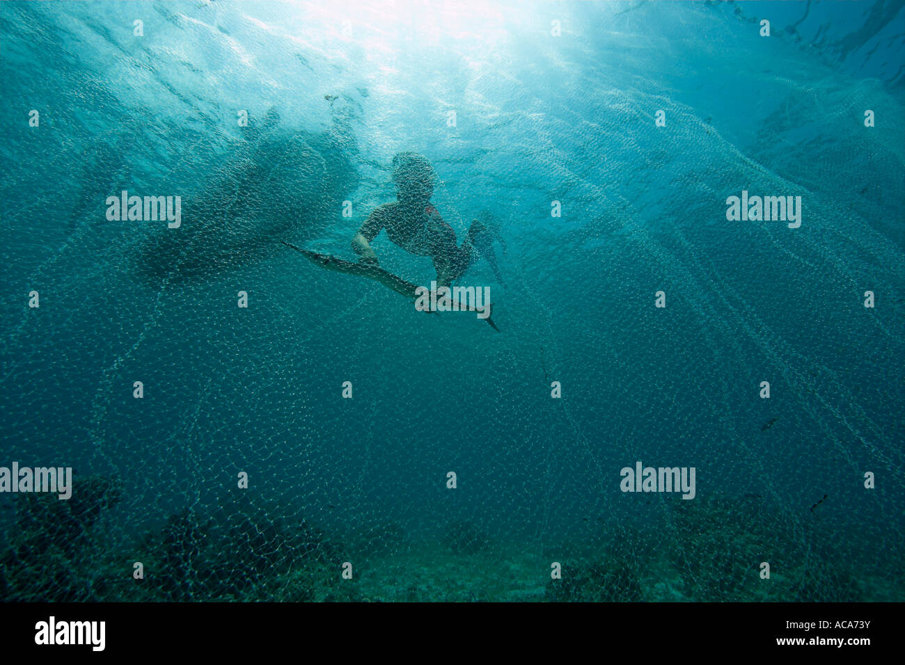 Fisher catch Pacific needlefish with a net, Philippines Stock Photo - Alamy